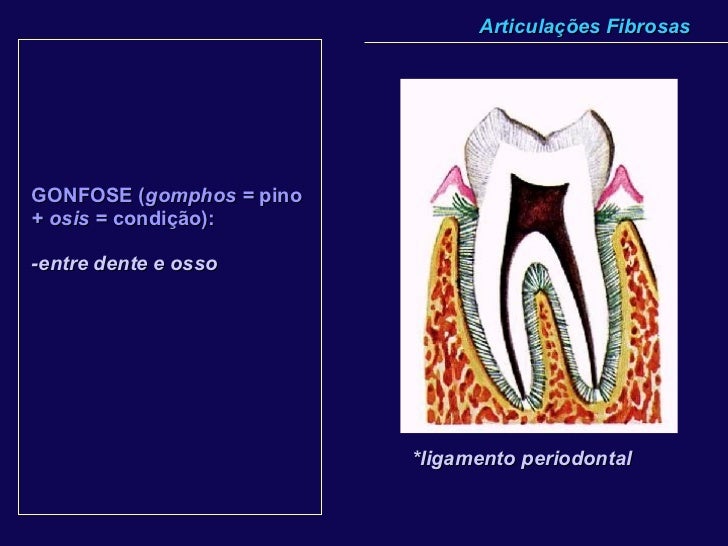 Aula 002 ArticulaçõEs