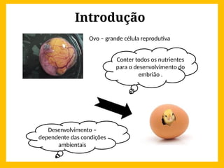Aula-02-Anatomia-do-ovo.pptx noções basicas | PPTX