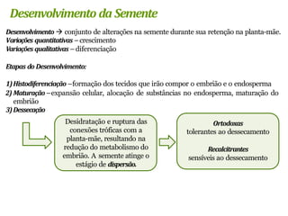 AULA - 04 - Tecnologia e produção de sementes.pptx