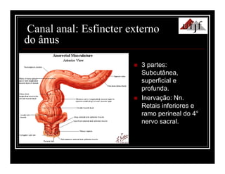 AULA-08.-Reto-e-Canal-anal.pdf