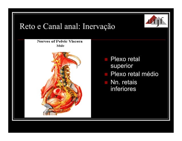 AULA-08.-Reto-e-Canal-anal.pdf