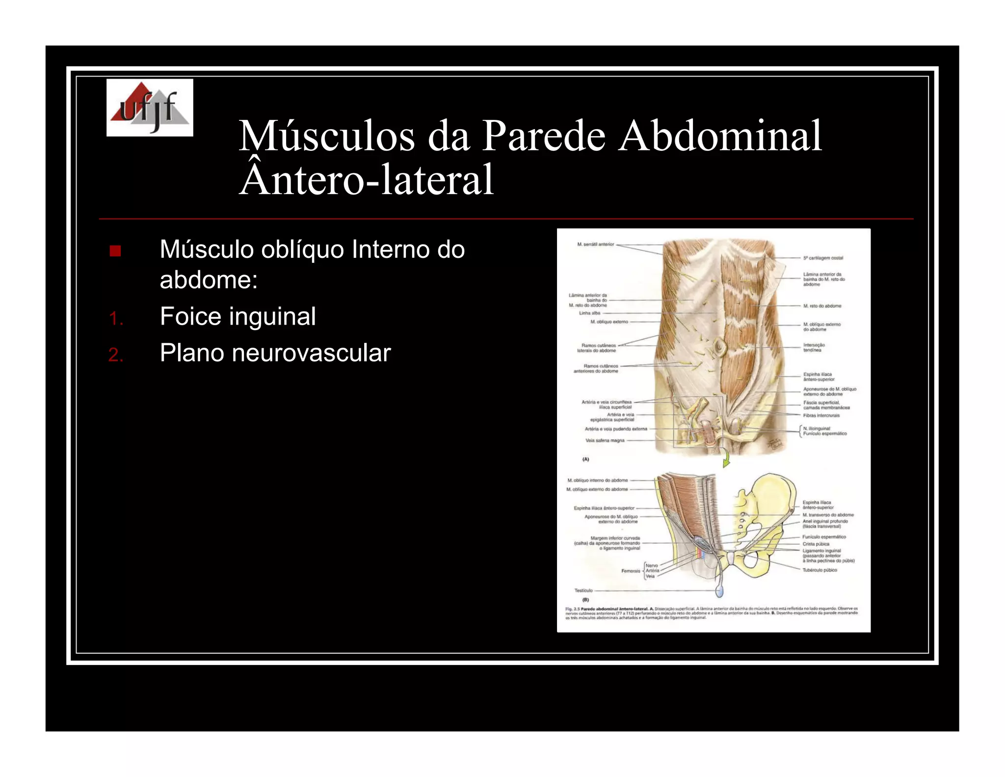 AULA-11.-Parede-abdominal-Ântero-lateral-e-Canal-Inguinal.pdf