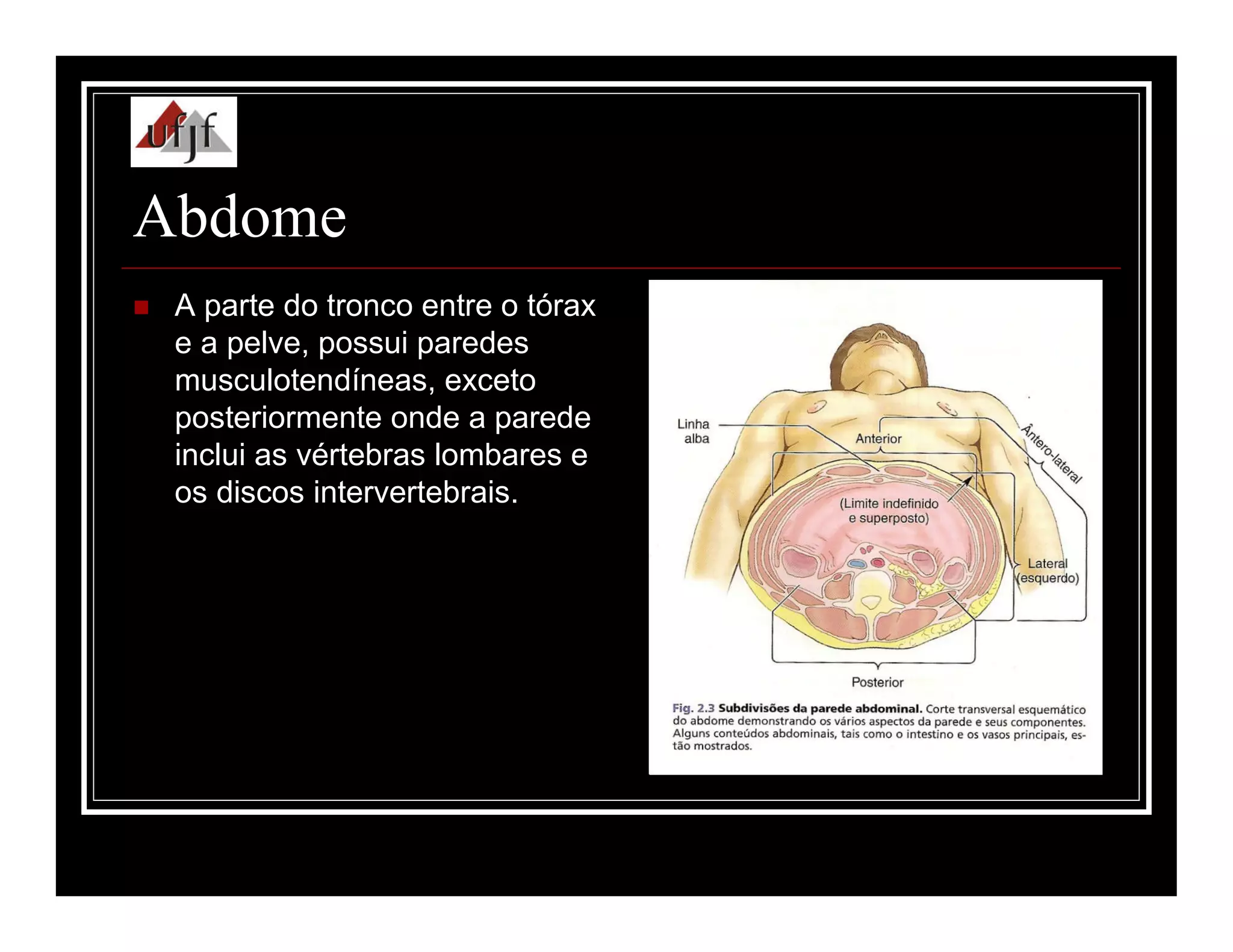AULA-11.-Parede-abdominal-Ântero-lateral-e-Canal-Inguinal.pdf