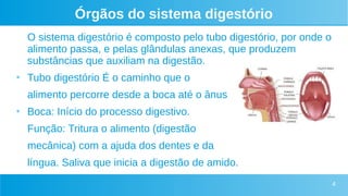 Aula de Fisiologia Humana - Sistema Digestório | PDF