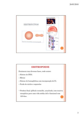 Aula 3-eritropoiese | PDF