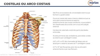 Aula - Anatomia da Caixa TorÃ¡xica com videos fabricio (1).pdf