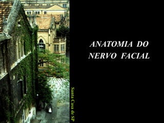 Aula - Anatomia do Nervo Facial (1).ppt