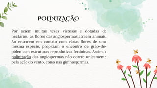 Aula - Angiosperma - Características das Angiospermas | PDF