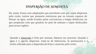 Aula - Angiosperma - Características das Angiospermas | PDF