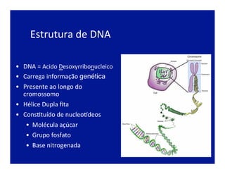 Aula dna-extraction-purification emanuel-20_11_12.ppt-11(1) | PPT