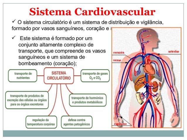 Aula fisiologia humana