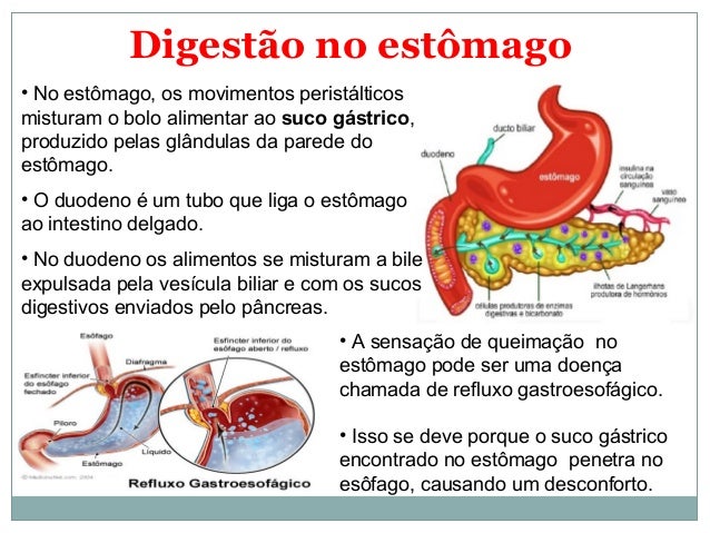 Aula fisiologia humana