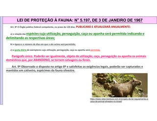 Aula - Legislação de proteção a FAUNA.pdf