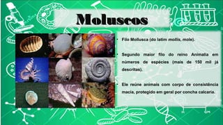 Moluscos de importância médica - Parasitologia | PPT