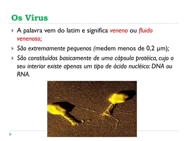 Aula os virus parte 1 | PPT
