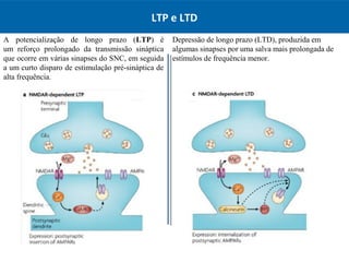 Aula - SNC - Ansiolíticos e Hipnóticos | PPT