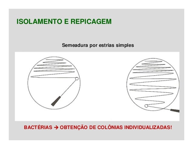 Microbiologia Agrícola UFMT - Aula 007