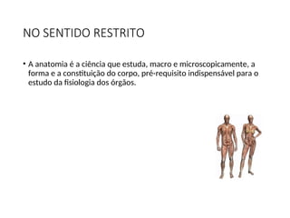 aula01-101008120205-Introdução a Anatomia Humana | PPT