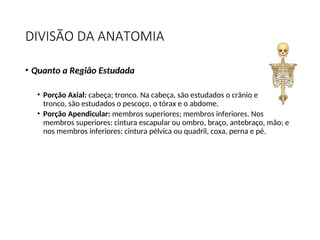 aula01-101008120205-Introdução a Anatomia Humana | PPT