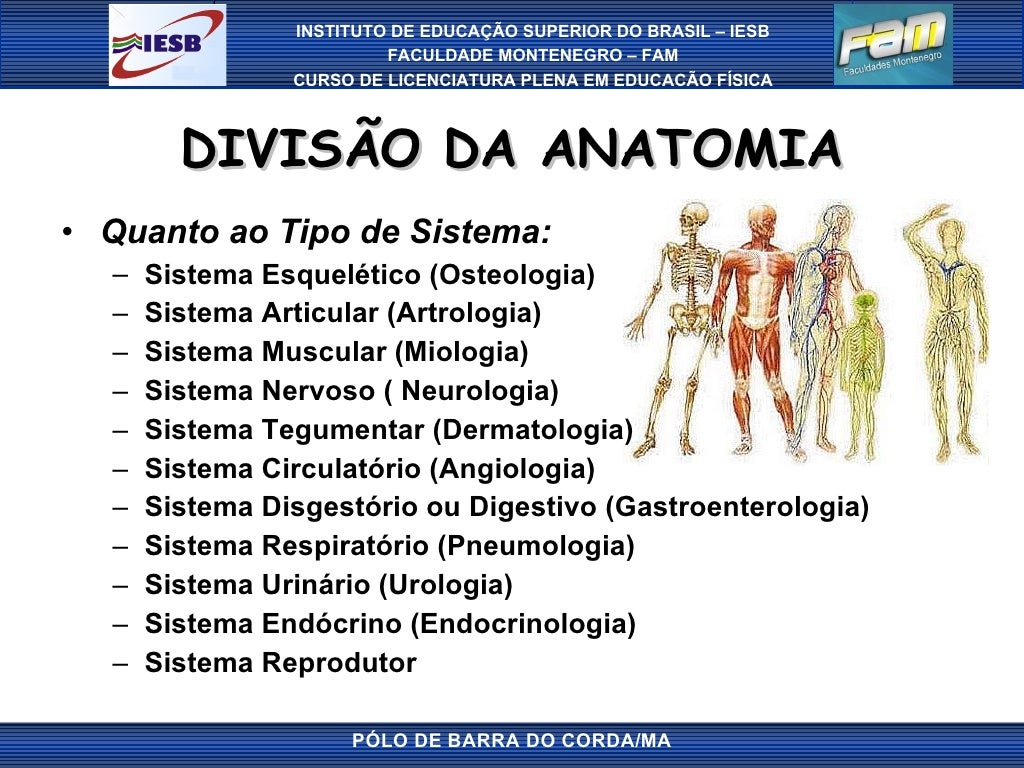Aula01:INTRODUÇÃO AO ESTUDO DE ANATOMIA