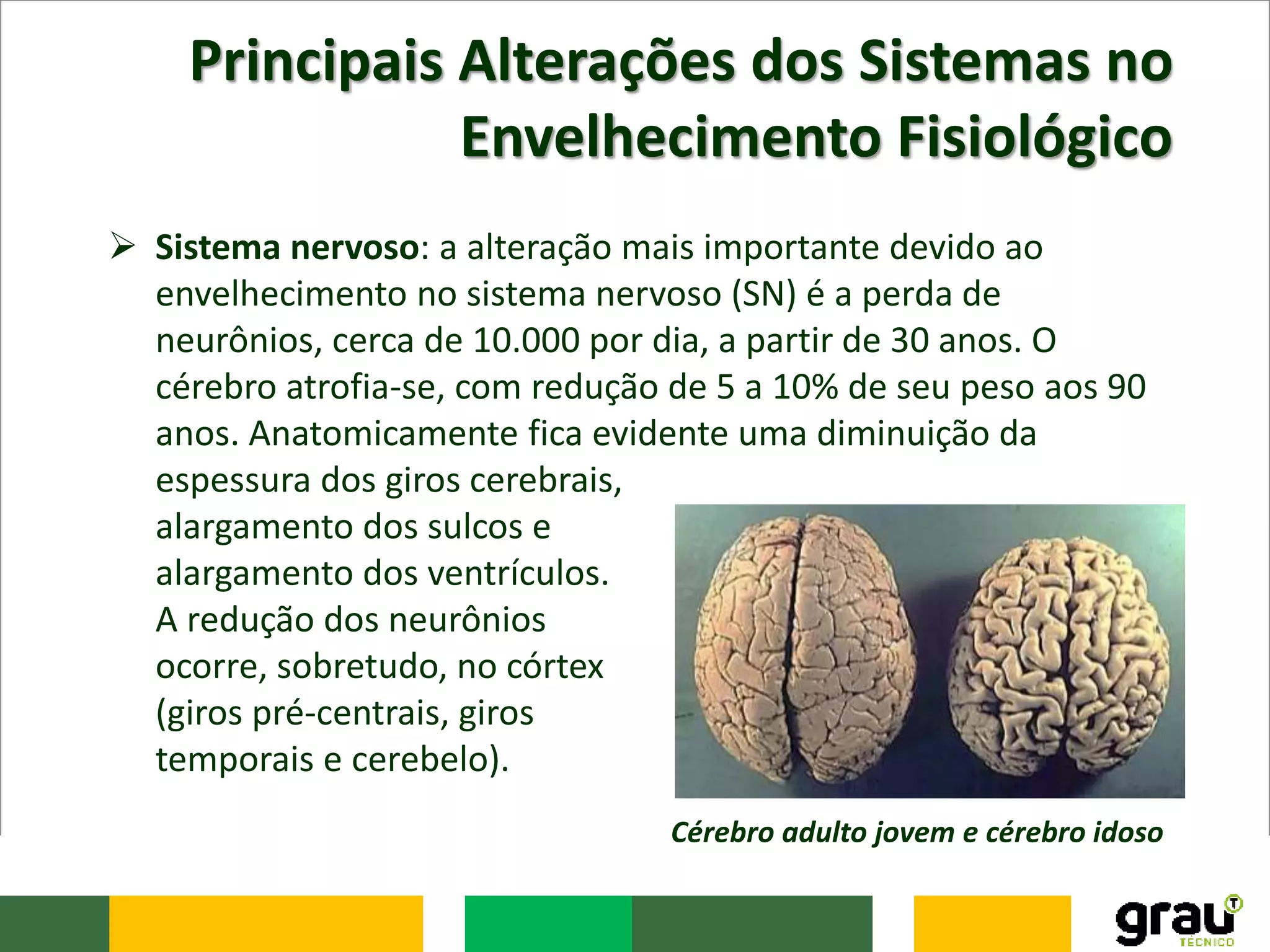 AULA 01 - ASPECTOS FISIOLÓGICOS DO ENVELHECIMENTO.pptx