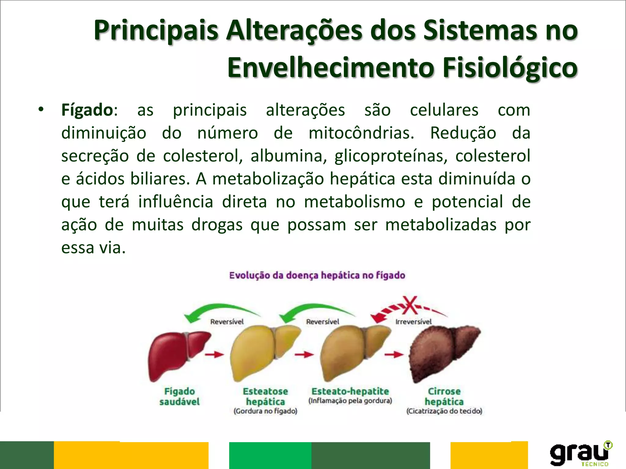 AULA 01 - ASPECTOS FISIOLÓGICOS DO ENVELHECIMENTO.pptx