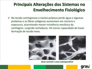 AULA 01 - ASPECTOS FISIOLÓGICOS DO ENVELHECIMENTO.pptx