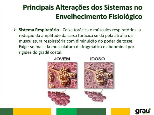 AULA 01 - ASPECTOS FISIOLÓGICOS DO ENVELHECIMENTO.pptx