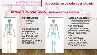 AULA 01 - INTRODUÇÃO A ANATOMIA - EDUCAÇÃO FÍSICA | PDF