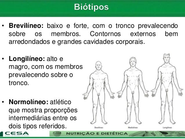 Aula 01 introdução a anatomia - posição, planos, cortes e divisões