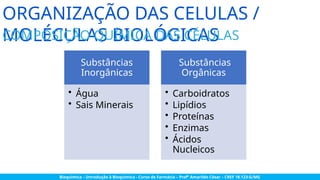 Aula 01 - Introdução a Bioquímica para Saúde.pptx