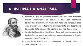 AULA01 - INTRODUÇÃO À ANATOMIA E FISIOLOGIA HUMANA.pdf