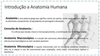 Aula 01 - Introdução à Anatomia e Fisiologia Humana e Sistema ...