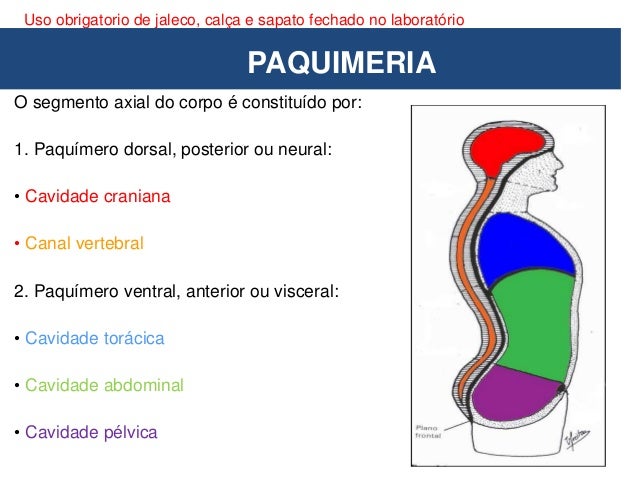 Aula 01 introdução, planos e eixos ok