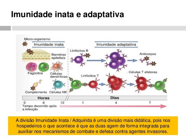 Aula 01 Propriedades gerais das respostas imunes