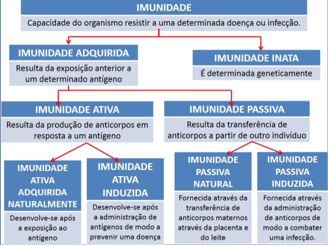 Aula 01 Propriedades gerais das respostas imunes