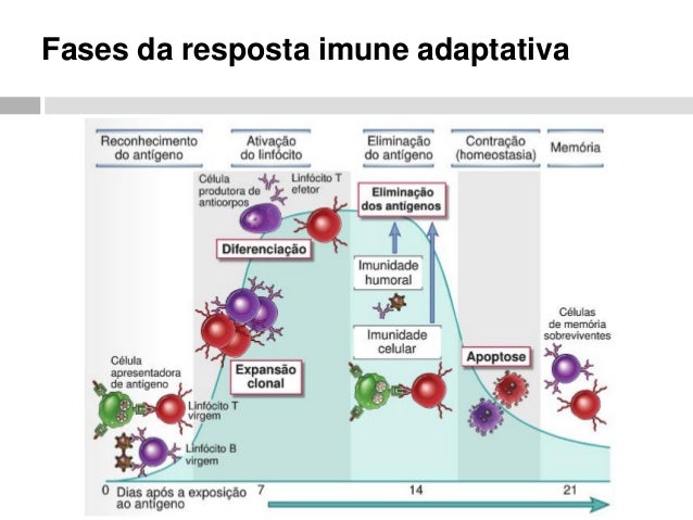 Aula 01 Propriedades gerais das respostas imunes