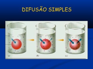 Aula 01 unidade 2 - transporte de íons através das membranas | PPT