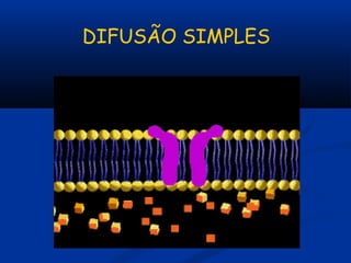 Aula 01 unidade 2 - transporte de íons através das membranas | PPT
