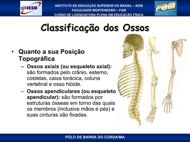 Aula02: OSTEOLOGIA | PPT