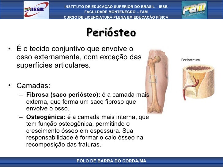Aula02: OSTEOLOGIA