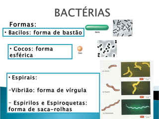 Aula Microbiologia Bactérias | PPT