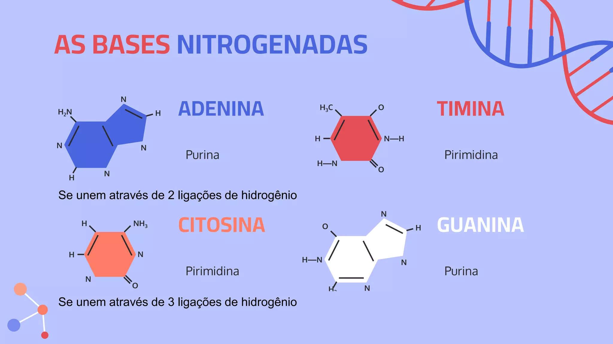 Aula 02 - Estrutura, função e processos do DNA.pptx