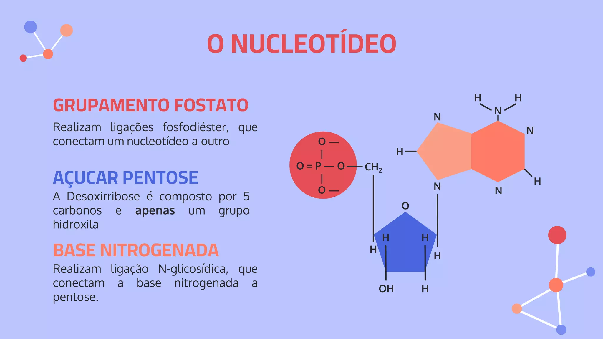 Aula 02 - Estrutura, função e processos do DNA.pptx