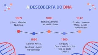 Aula 02 - Estrutura, função e processos do DNA.pptx