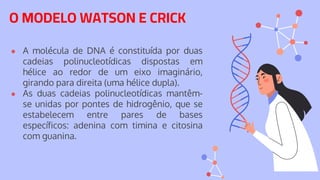 Aula 02 - Estrutura, função e processos do DNA.pptx