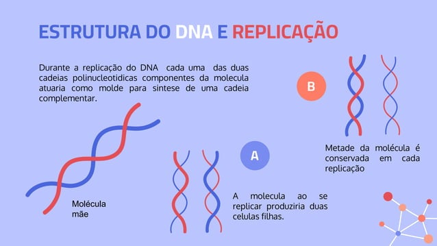 Aula 02 - Estrutura, função e processos do DNA.pptx