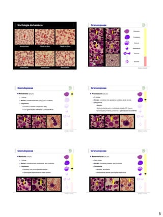 Aula 02 hematologia - slides 2 | PDF