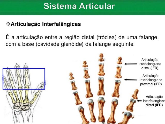 Articulacao Interfalangica Distal