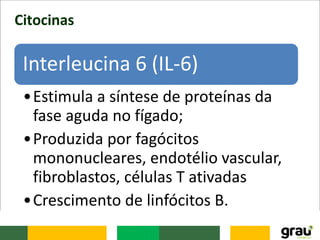 AULA 02 e 03 - IMUNIDADE INATA CÉLULAS, RECEPTORES E CITOCINAS.pptx